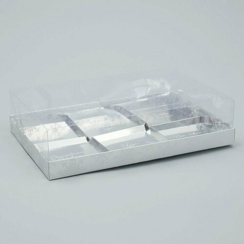 Коробка для для муссовых пирожных «Серебристая», 27 х 17.8 х 6.5 см (комплект из 20 шт)