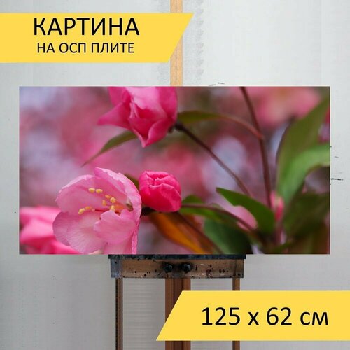 Картина на ОСП 125х62 см. "Цветочное яблоко, весна, дерево" горизонтальная, для интерьера, с креплениями
