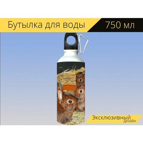 Бутылка фляга для воды "Кролики, deilenaar, кроличья семья" 750 мл. с карабином и принтом