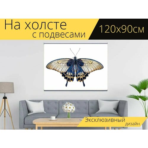 Картина на холсте "Природа, животные, бабочка" с подвесами 120х90 см. для интерьера