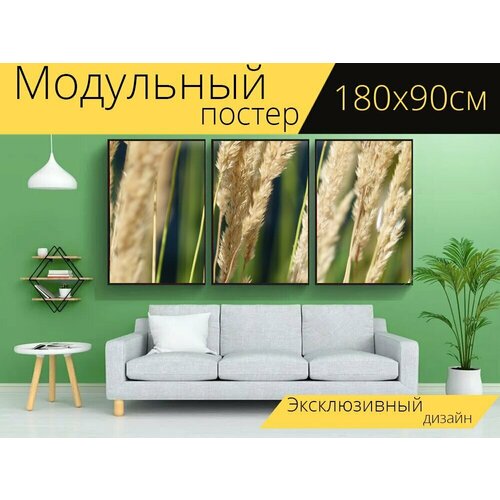 Модульный постер "Трава, растения, природа" 180 x 90 см. для интерьера