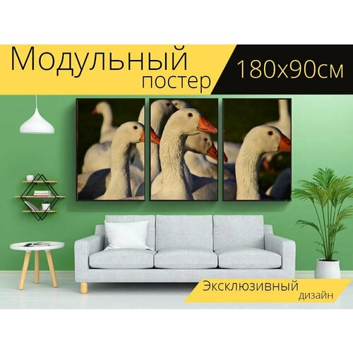 Модульный постер "Гуси, гусиная стая, домашние гуси" 180 x 90 см. для интерьера