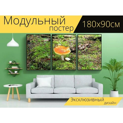 Модульный постер "Гриб, мухомор, осень" 180 x 90 см. для интерьера