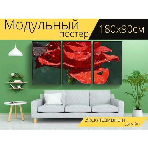 Модульный постер "Красный, роза, красные розы" 180 x 90 см. для интерьера