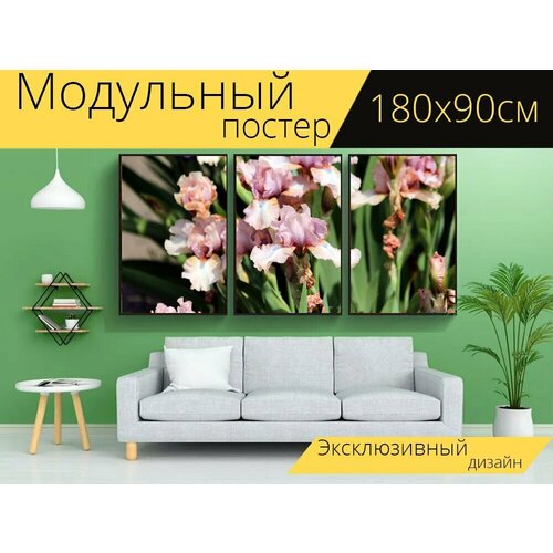 Модульный постер "Ирисы, клумба, цветы" 180 x 90 см. для интерьера