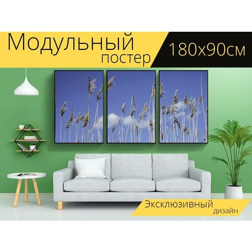 Модульный постер "Трава, цветы, сушеный" 180 x 90 см. для интерьера