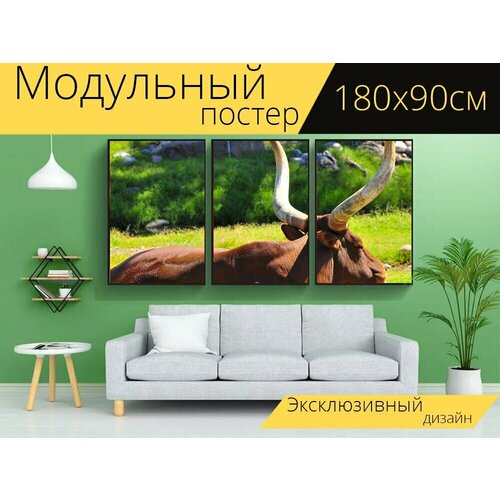 Модульный постер "Крупный рогатый скот, африканец, африка" 180 x 90 см. для интерьера
