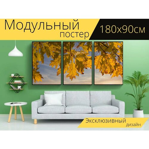 Модульный постер "Листья, осень, дерево" 180 x 90 см. для интерьера