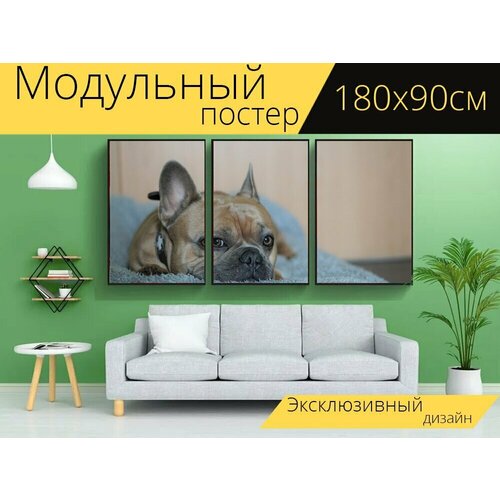 Модульный постер "Французский бульдог, эффект боке, собака" 180 x 90 см. для интерьера