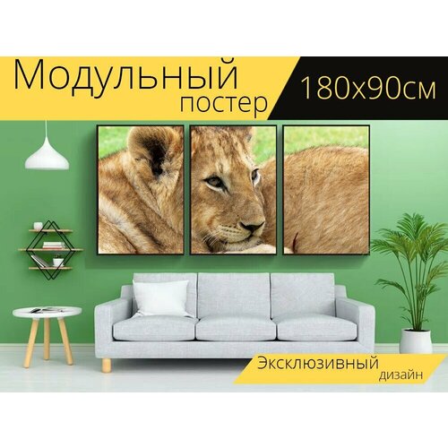 Модульный постер "Лев, львенок, детеныш" 180 x 90 см. для интерьера