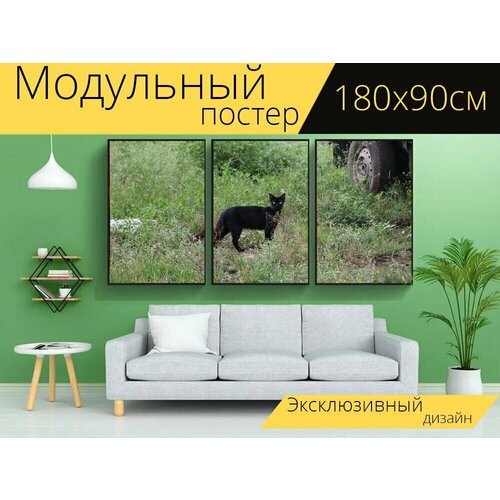Модульный постер "Индийский черный кот, домашняя кошка, черный кот" 180 x 90 см. для интерьера