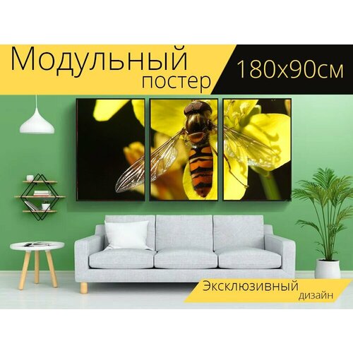 Модульный постер "Насекомое, макрос, насекомые" 180 x 90 см. для интерьера
