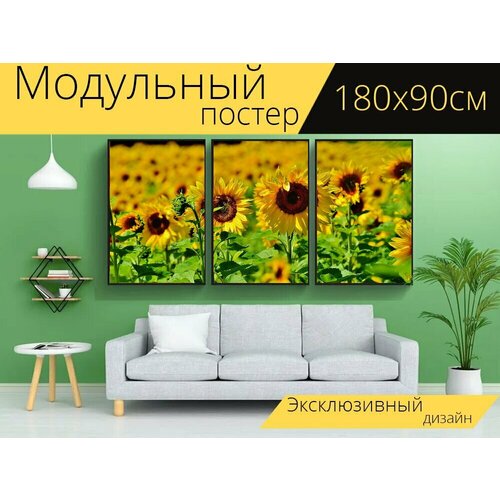 Модульный постер "Подсолнухи, пчелы, летом" 180 x 90 см. для интерьера