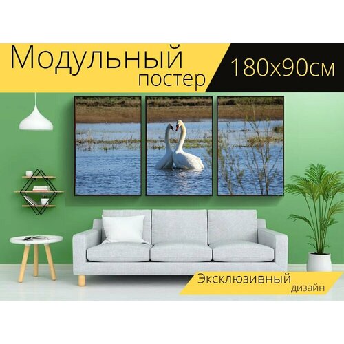 Модульный постер "Лебеди, единение, гармония" 180 x 90 см. для интерьера