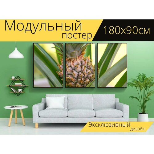 Модульный постер "Ананас, тропический, еда" 180 x 90 см. для интерьера