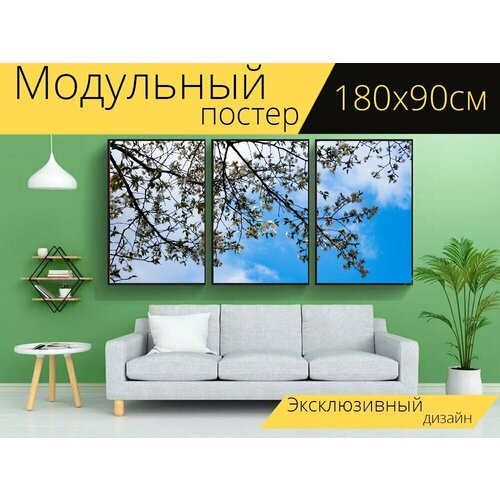 Модульный постер "Вишневое дерево, весна, весенний цветок" 180 x 90 см. для интерьера