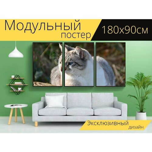 Модульный постер "Кошка, полосатый кот, домашний питомец" 180 x 90 см. для интерьера