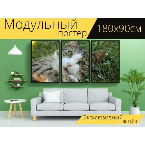 Модульный постер "Кот, кошачьи глаза, морда кошки" 180 x 90 см. для интерьера