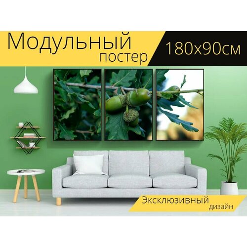Модульный постер "Желуди, дубовое дерево, природа" 180 x 90 см. для интерьера