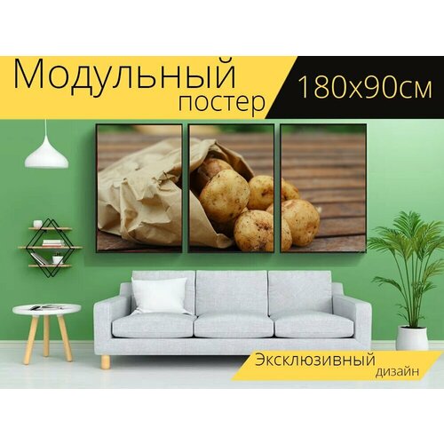 Модульный постер "Картошка, еда, овощ" 180 x 90 см. для интерьера