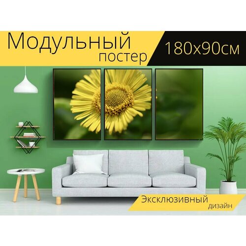 Модульный постер "Бежал травы, желтый цветок, pulicaria vulgaris" 180 x 90 см. для интерьера