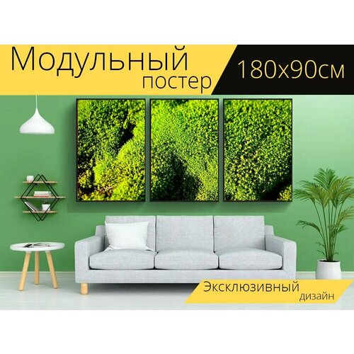 Модульный постер "Зеленый, мох, макрос" 180 x 90 см. для интерьера