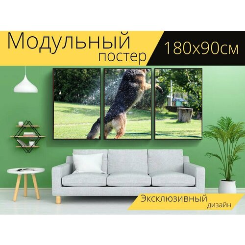 Модульный постер "Немецкая овчарка, летом, собака" 180 x 90 см. для интерьера