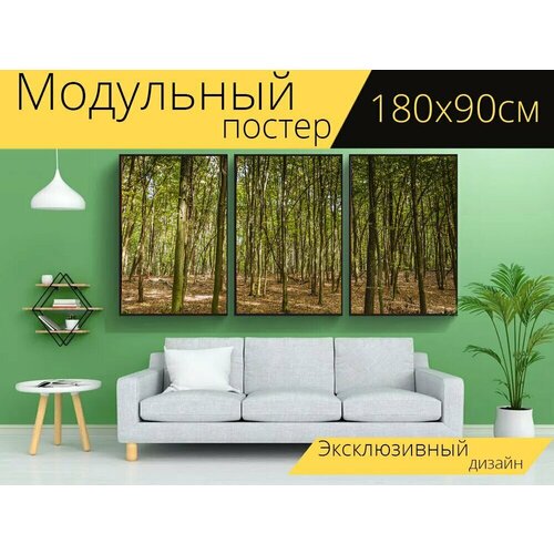 Модульный постер "Лес, густой лес, весна" 180 x 90 см. для интерьера