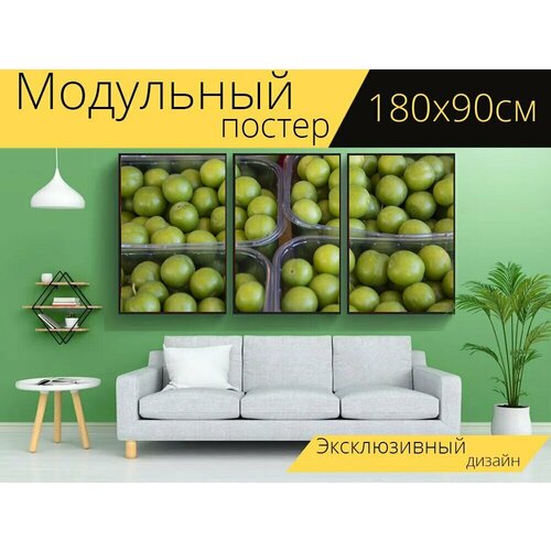 Модульный постер "Слива, зеленый, фрукты" 180 x 90 см. для интерьера