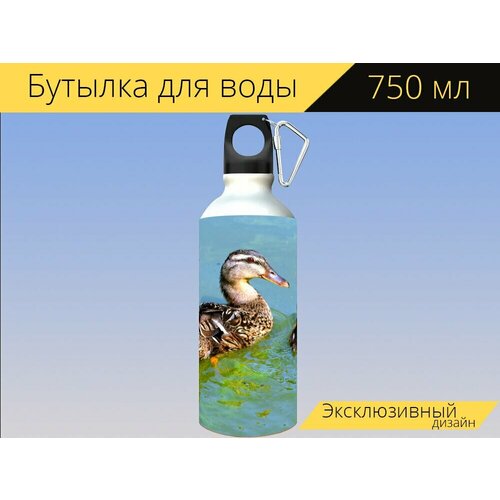 Бутылка фляга для воды "Утенок, вода, дикие утки" 750 мл. с карабином и принтом