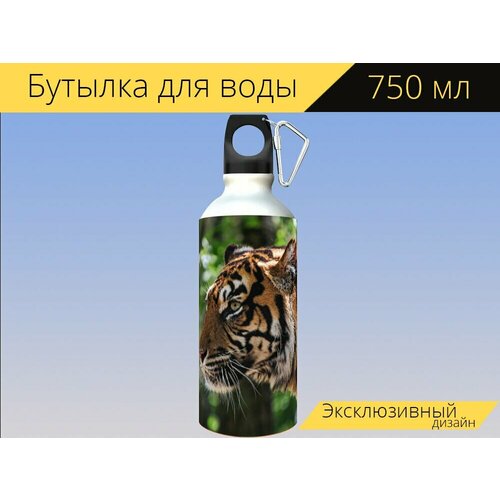 Бутылка фляга для воды "Тигр, рыжеватокоричневый, голова" 750 мл. с карабином и принтом