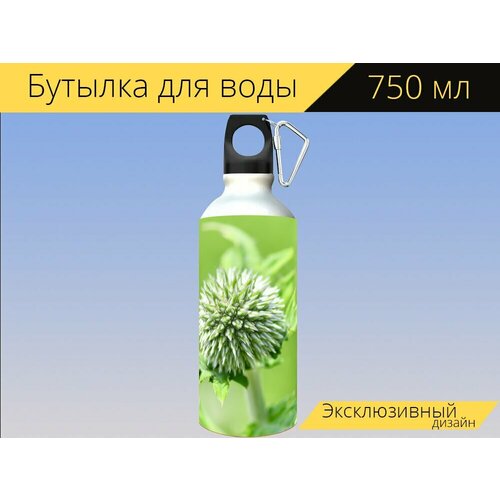 Бутылка фляга для воды "Декоративные растения, мяч, зеленый" 750 мл. с карабином и принтом