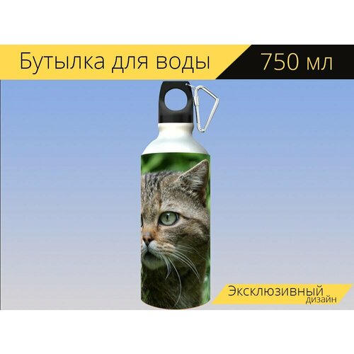 Бутылка фляга для воды "Дикий кот, лесной кот, хищник" 750 мл. с карабином и принтом
