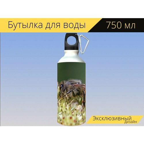 Бутылка фляга для воды "Пчела, насекомые, нектар" 750 мл. с карабином и принтом