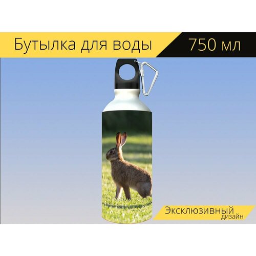 Бутылка фляга для воды "Молодой заяц, зайчонок, заяц" 750 мл. с карабином и принтом