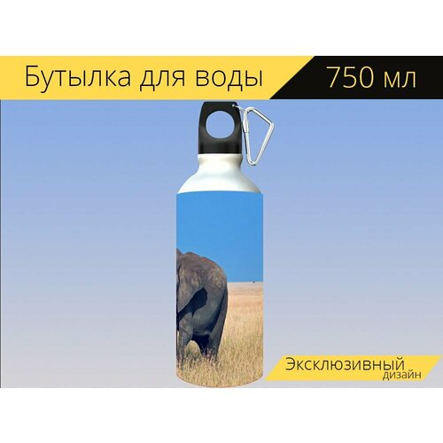 Бутылка фляга для воды "Африке, слон, дикий" 750 мл. с карабином и принтом