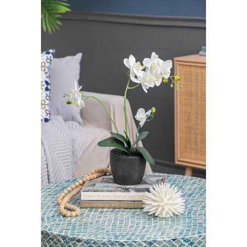 F48339-WHIT Растениие декоративное Орхидея 33х18х53см, Glasar