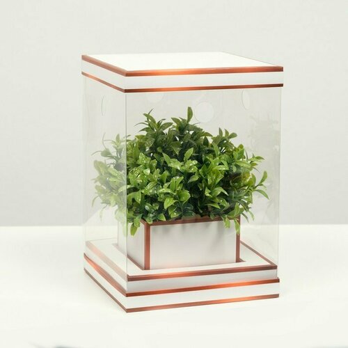 Коробка для цветов с вазой и PVC окнами складная, бронза, 16 х 23 х 16 см (комплект из 5 шт)