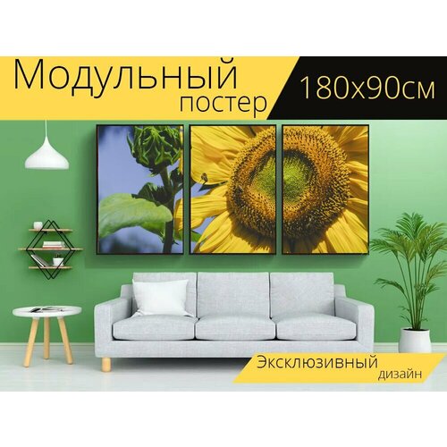 Модульный постер "Подсолнечник, желтый, цветок" 180 x 90 см. для интерьера