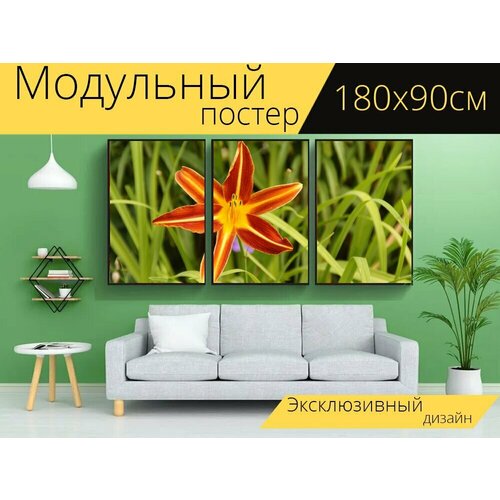 Модульный постер "Цветок, цвести, звезда" 180 x 90 см. для интерьера