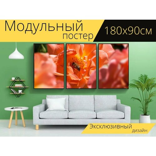Модульный постер "Роза, пчела, апельсин" 180 x 90 см. для интерьера