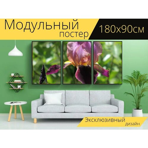 Модульный постер "Ирис, цветок, весна" 180 x 90 см. для интерьера