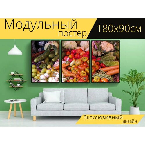 Модульный постер "Овощи, помидор, цветная капуста" 180 x 90 см. для интерьера