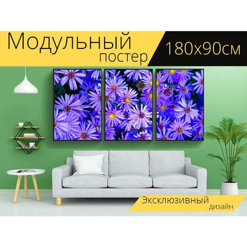 Модульный постер "Цветы, астры, сад" 180 x 90 см. для интерьера
