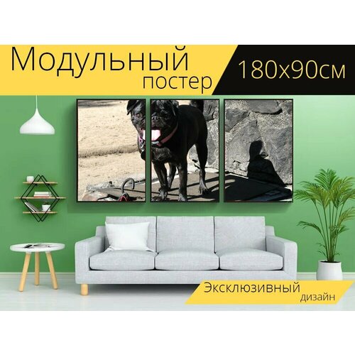 Модульный постер "Мопс, черный мопс, собака" 180 x 90 см. для интерьера