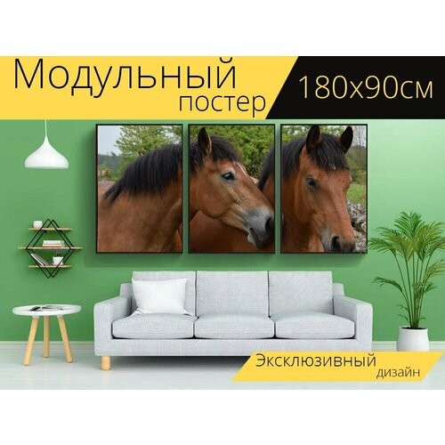 Модульный постер "Лошадь, лошади, друзья" 180 x 90 см. для интерьера