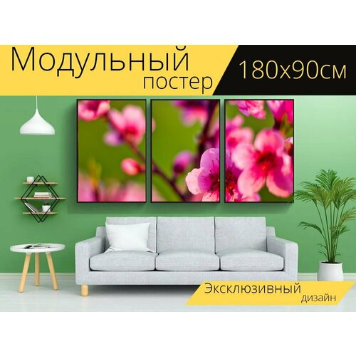 Модульный постер "Песко, цветы, розовый" 180 x 90 см. для интерьера