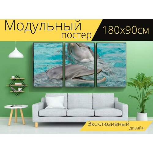 Модульный постер "Дельфин, их, счастливый" 180 x 90 см. для интерьера