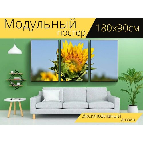 Модульный постер "Подсолнечник, цветок, желтый цветок" 180 x 90 см. для интерьера