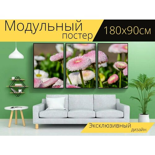 Модульный постер "Маргаритка, двойной цветок, цветок" 180 x 90 см. для интерьера